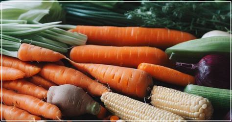 5 Best Bedtime Drinks For Diabetics By Diabetes Fixer Medium