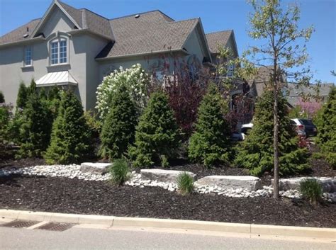 How To Save With Shade Trees Caledon Treeland