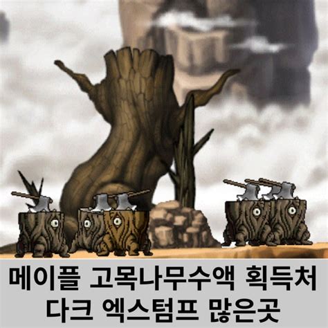 메이플 고목나무수액 드랍처 다크 엑스텀프 많은 곳 네이버 블로그