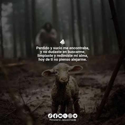 la oveja perdida la oveja perdida bastate mi gracia ovejas
