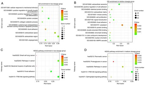 go and kegg pathway enrichment analysis in the low and medium dosage