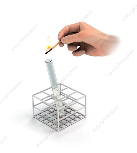 Burning Splint Test Illustration Stock Image C0383763 Science