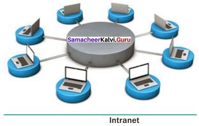 Samacheer Kalvi 12th Computer Applications Solutions Chapter 11 Network