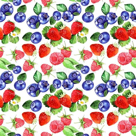 Watercolor Berries Seamless Pattern Isolated On White Background Stock