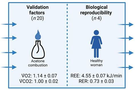 The H Comparison Phase During H Measurements Should Show