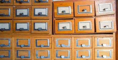 The Taxonomy Explained Definitions And Categories The Taxonomy Explained Definitions And Categories