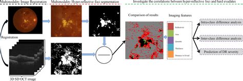 Diagram Showing The Processing Pipeline Of Our Multimodality Analysis Download Scientific