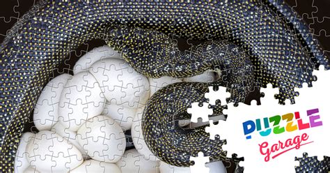 Australian Python Jigsaw Puzzle Animals Reptiles Puzzle Garage Australian Python Jigsaw Puzzle Animals Reptiles Puzzle Garage