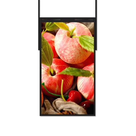 Renewable Design For Digital Wall Screens Digital Window Display Hanging Style Sosu