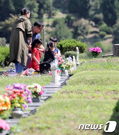 추석 앞두고 성묘 가족들과 함께 뉴스1