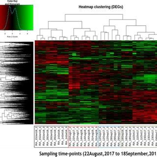 Hierarchical Clustering Based On Expression Levels Of Differentially
