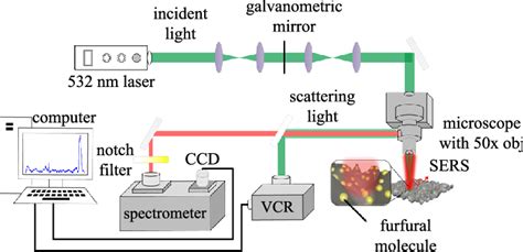 Schematic Diagram Of Clrs With Sers Download Scientific Diagram