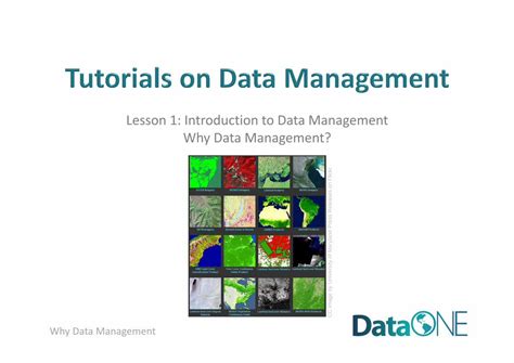 Pdf Lesson 1 Introduction To Data Management Why Data Why Data