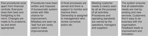 An Example Of Selfassessment Matrix Download Scientific Diagram