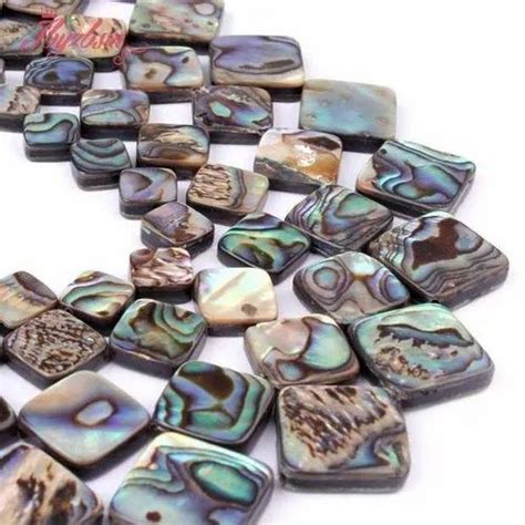 Natural Abalone Shell Gemstone Cabochon Lot At Rs Piece In Jaipur ID