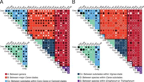 Half Matrices Showing The Results Of Pairwise Co Occurrence Analyses