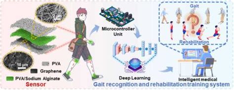 可降解、生物相容且灵活的电容式压力传感器，用于智能步态识别和康复训练nano Energy X Mol