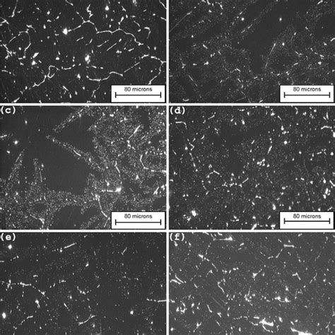 Microstructure Evolution During Homogenization At 580 • C X1000 0 5 Download Scientific