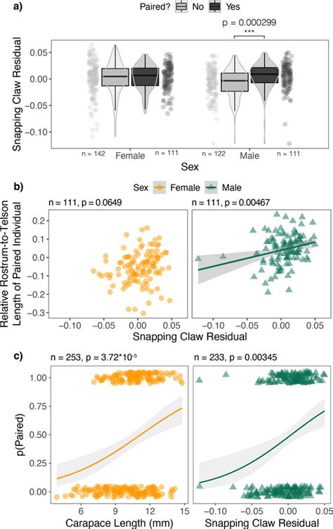 Tradeoffs Explain Scaling Sex Differences And Seasonal Oscillations