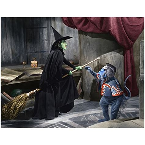 Wizard Of Oz Witch On Broom 6 Hundred Wizard Oz Witch Royalty Free