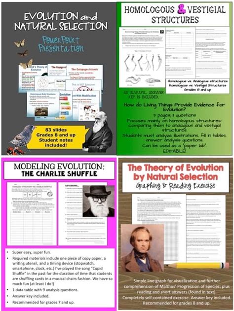 Evolution Unit Bundle By Biology Roots Tpt