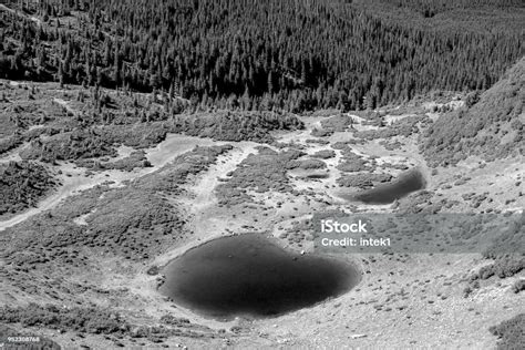 녹색 전나무 나무와 푸른 호수 여름 최고 보기에서 카 르 파 티아 산맥의 배경 우크라이나 흑인과 백인 0명에 대한 스톡 사진 및 기타 이미지 Istock