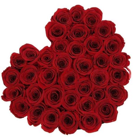 Red Roses That Last A Year Love Heart Rose Box Palatial Petals