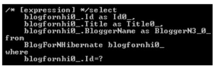 LINQ Generated NHibernate And Entity Framework SQL The Best C Programmer In The World