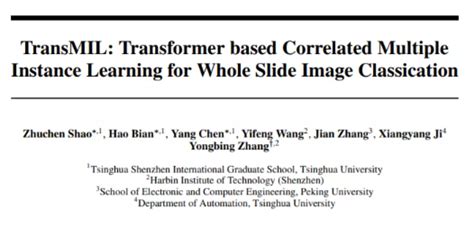 neurips2021 基于transformer的多示例学习算法在组织病理学图像分类中的应用 智源社区