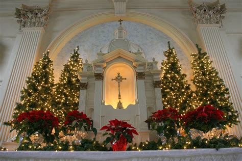 Christmas Trees Holy Corner At Albert Jonathan Blog