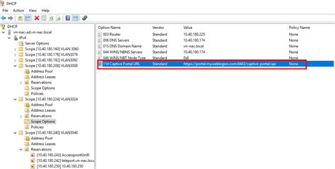 How To Configure Dhcp Option 114 On Windows Dhcp Server Metadefender Nac
