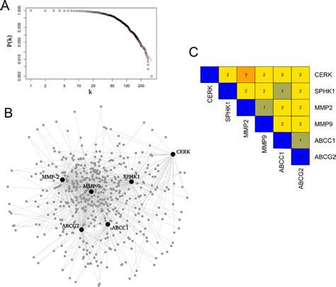 Network Based Analysis Of Interaction Network Corresponding To