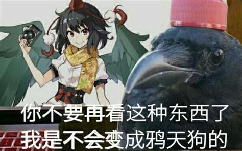 沙雕时间 你不要再看这种东西了，我是不会变的大绳沙雕猫猫新浪新闻