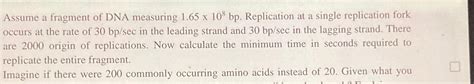 Solved Assume A Fragment Of Dna Measuring Bp Chegg