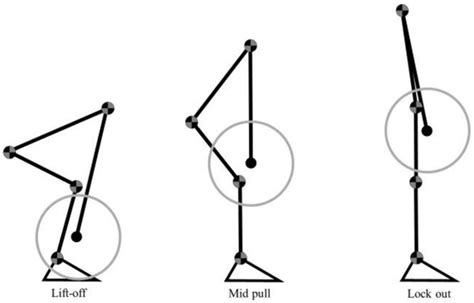 Muscles Special Issue Recent Perspectives Regarding Muscle And