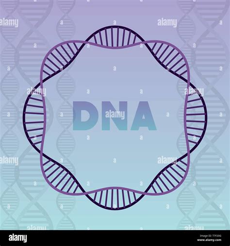 Dna Molecule Circular Structure Stock Vector Image And Art Alamy