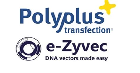 Polyplus Acquires E Zyvec To Expand Expertise In Plasmid Dna Vector Engineering