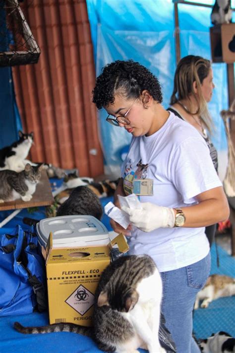 Salvador VacinaÇÃo AntirrÁbica Oferta Doses Em Drive Thru E Pontos