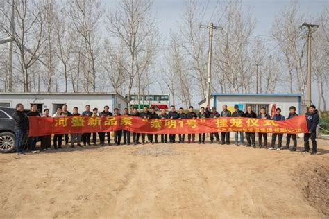 崇明1号来啦 上海市崇明区人民政府