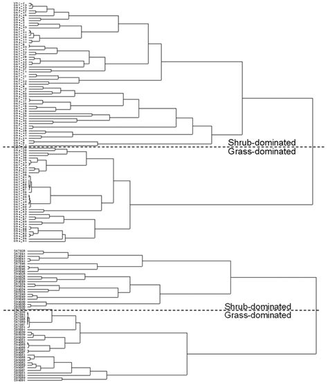 Top Classification Dendrogram Of Sites Bottom