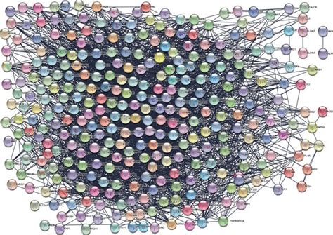 The Construction Of Protein Protein Interaction Ppi Networks And