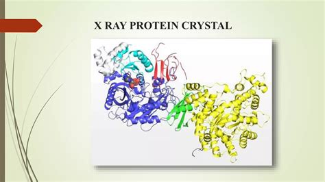 Determination Of Protein Tertiary Structure Pptx