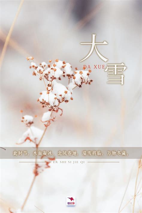 今日大雪 澎湃号政务 澎湃新闻 The Paper