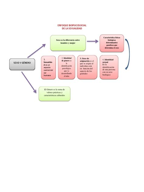 Mapa Mental Sobre La Sexualidad Pdf