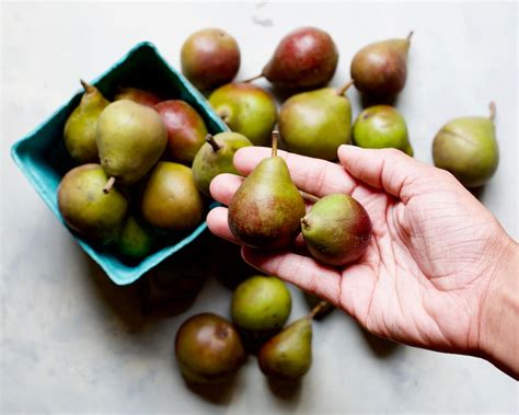 What Is The Season For Pears At Jason Criner Blog