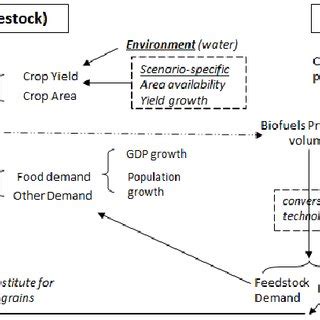 Schematic Of Quantitative Modeling Components Download Scientific Diagram