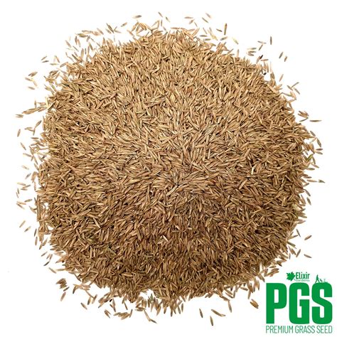 Premium Hard Wearing Prg Grass Seed Elixir Garden Supplies
