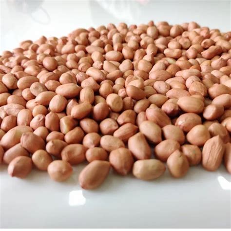 Whole Peanut Kernel At ₹ 117kg Dried Peanut Kernel In Ambarnath Id 2851586679033