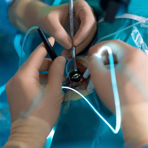 Lultimo Messaggio Di Amy Silverstein La Scrittrice Vissuta Grazie A Un Doppio Trapianto Di