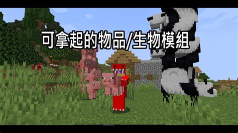 Minecraft 模組介紹 可拿起的物品生物 Youtube
